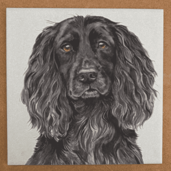 Working Black Cocker Spaniel Trivet