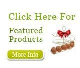 Cotswold Chickens - Everything Poultry! - Cotswold Chickens