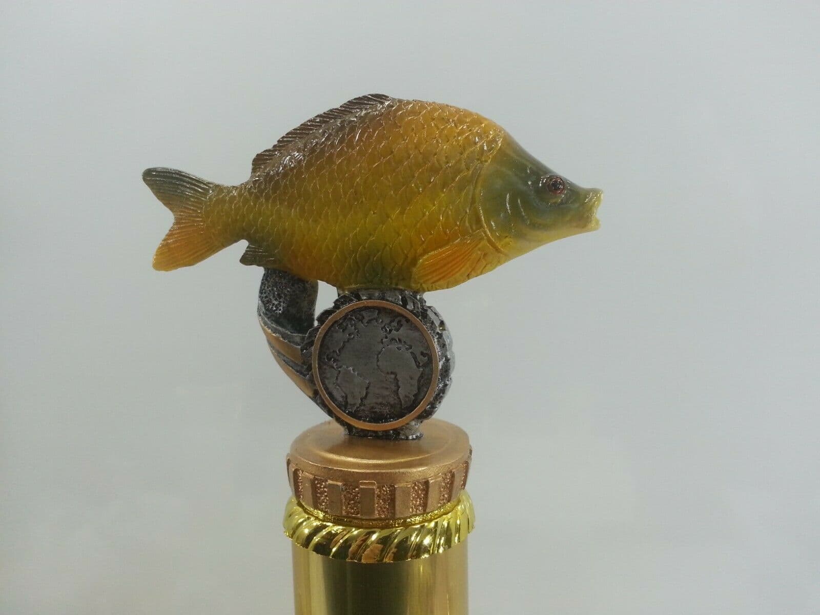 Common Carp Fishing Trophy Personalised | County Engraving