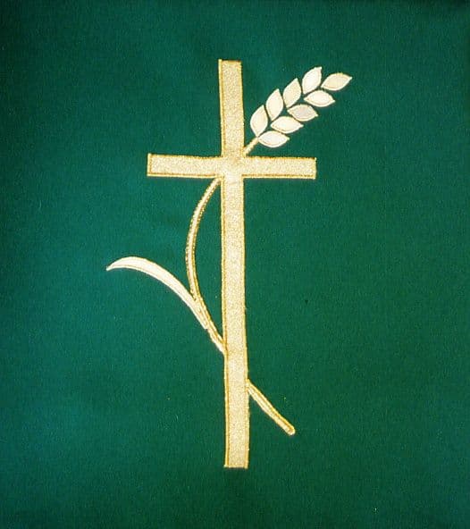 Wheat Cross Fall