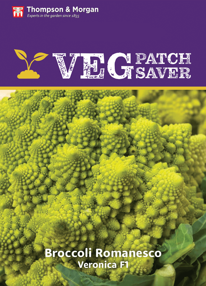 Broccoli Romanesco Veronica F1 Hybrid