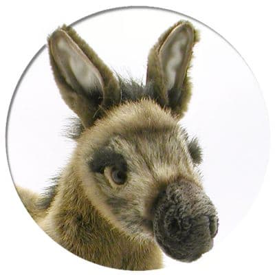 Hansa Donkey