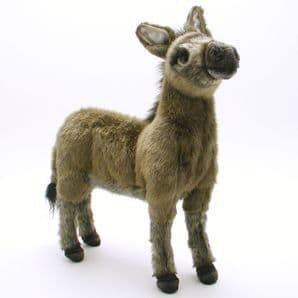 Hansa Donkey