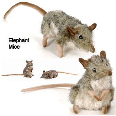 Hansa Elephant Mouse
