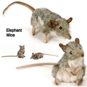 Hansa Elephant Mouse