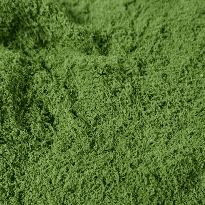 Model Tree & Plant Foliage For Model Railways & Dioramas