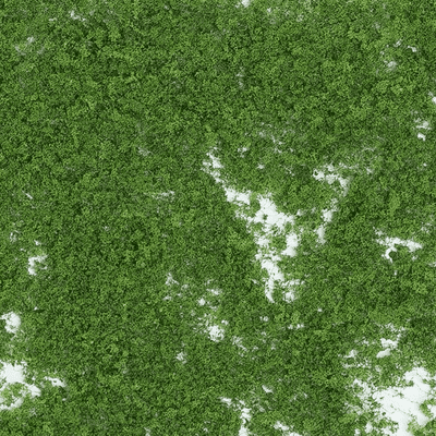 Model Tree & Plant Foliage For Model Railways & Dioramas