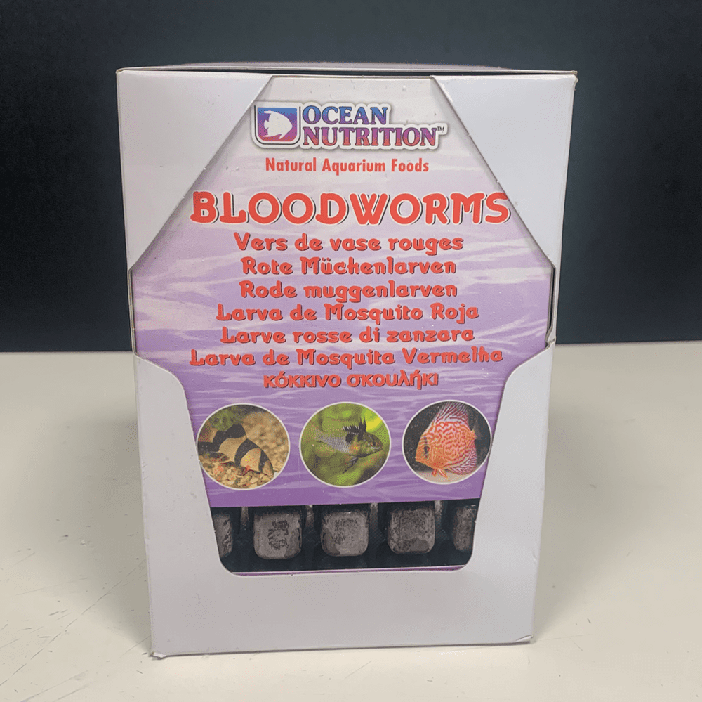 Frozen Bloodworm BULK BUY