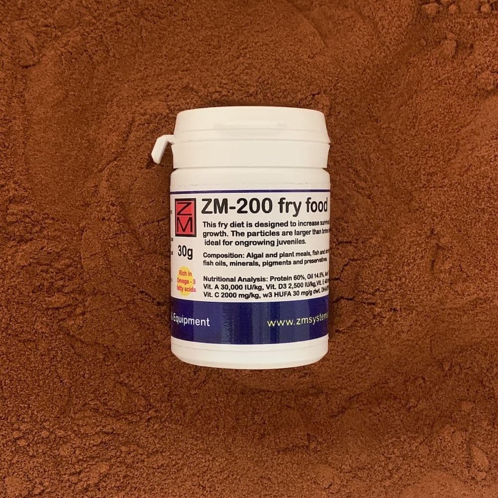 ZM-200 fry food