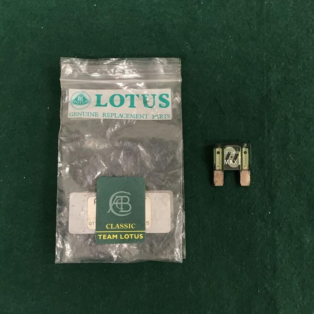 Maxi Fuse 30A M100 169