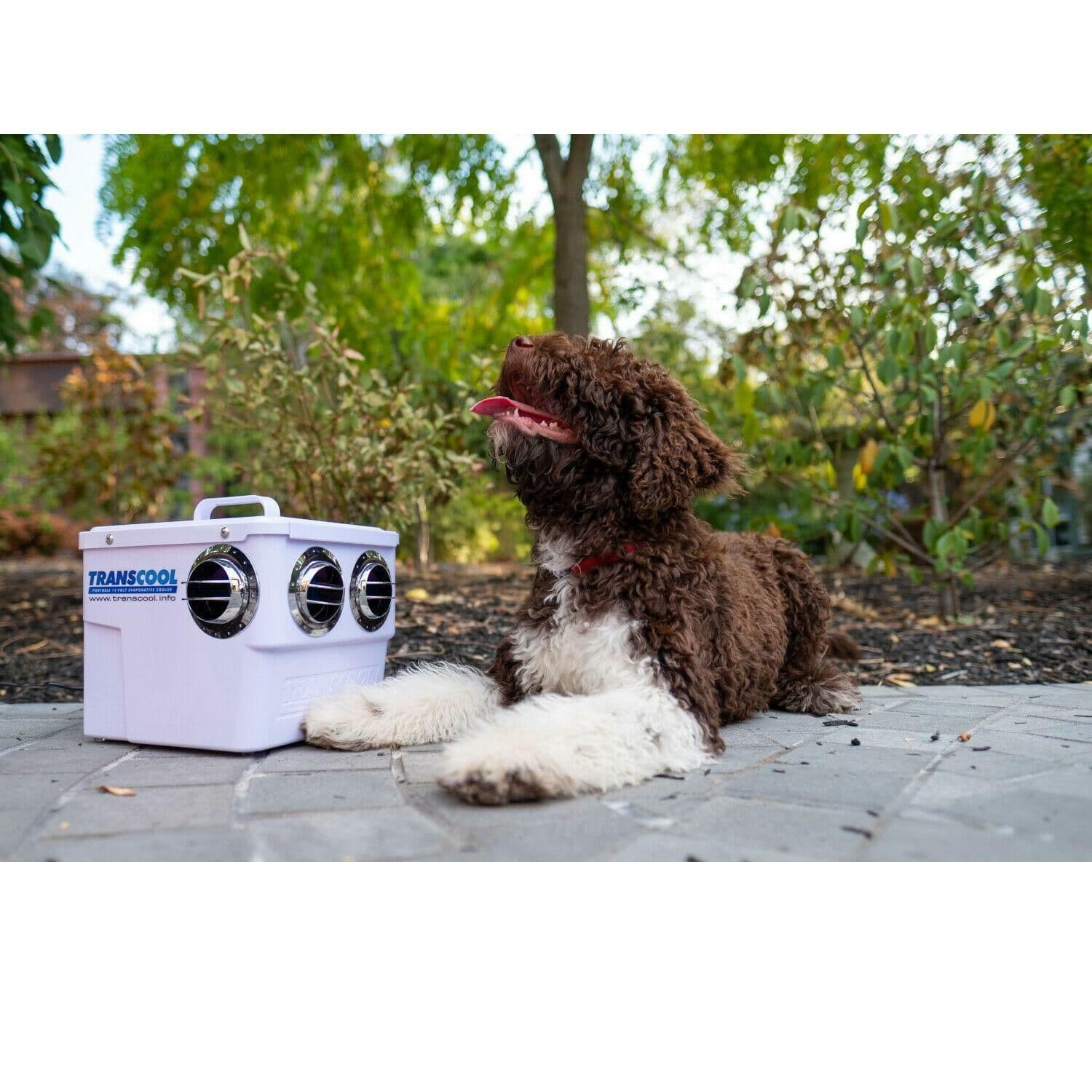 TRANSCOOL not totalcool 3000 PORTABLE AIR COOLING SYSTEM 12v 24v 240v ...