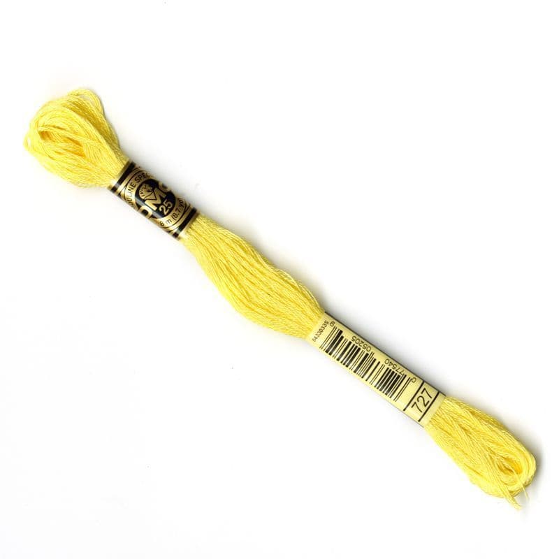 727 - DMC stranded cotton thread