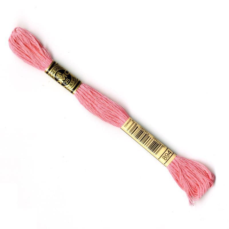 894 - DMC stranded cotton thread