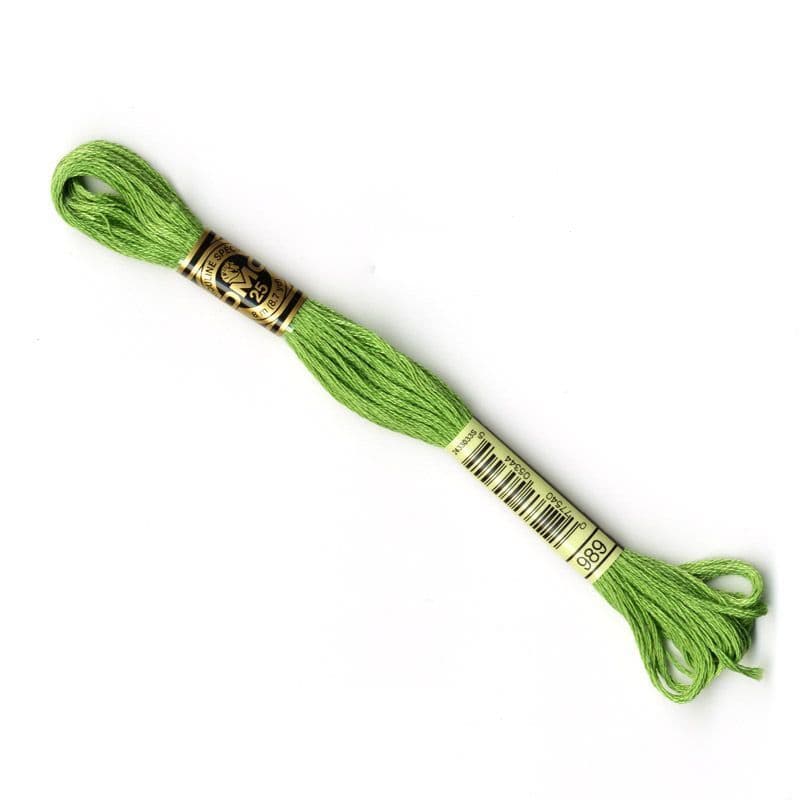 989 - DMC stranded cotton thread