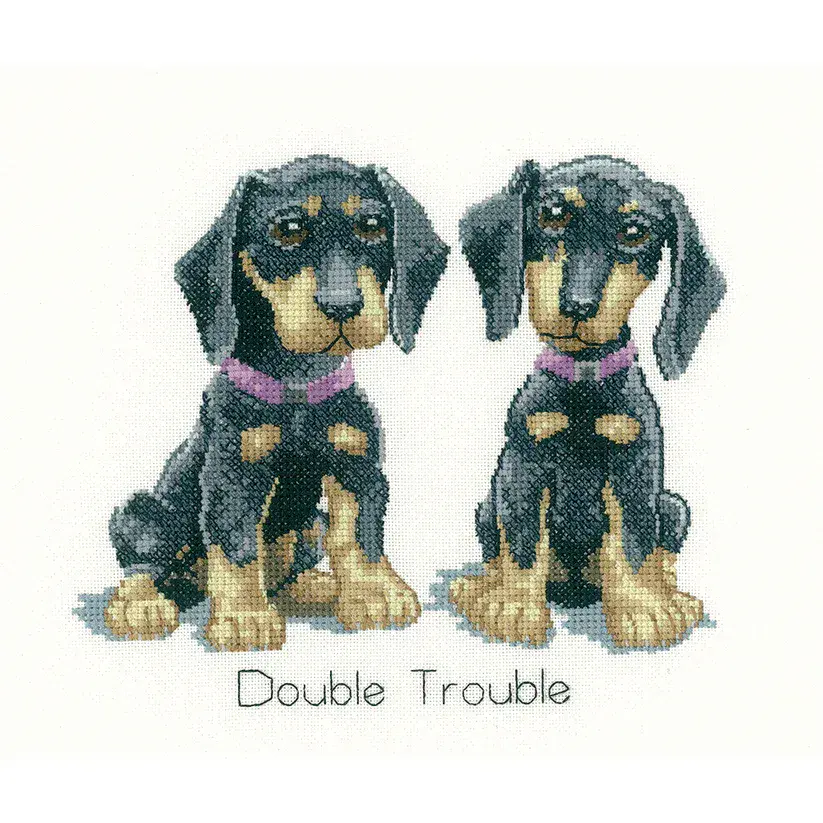 Double Trouble cross stitch chart - Peter Underhill