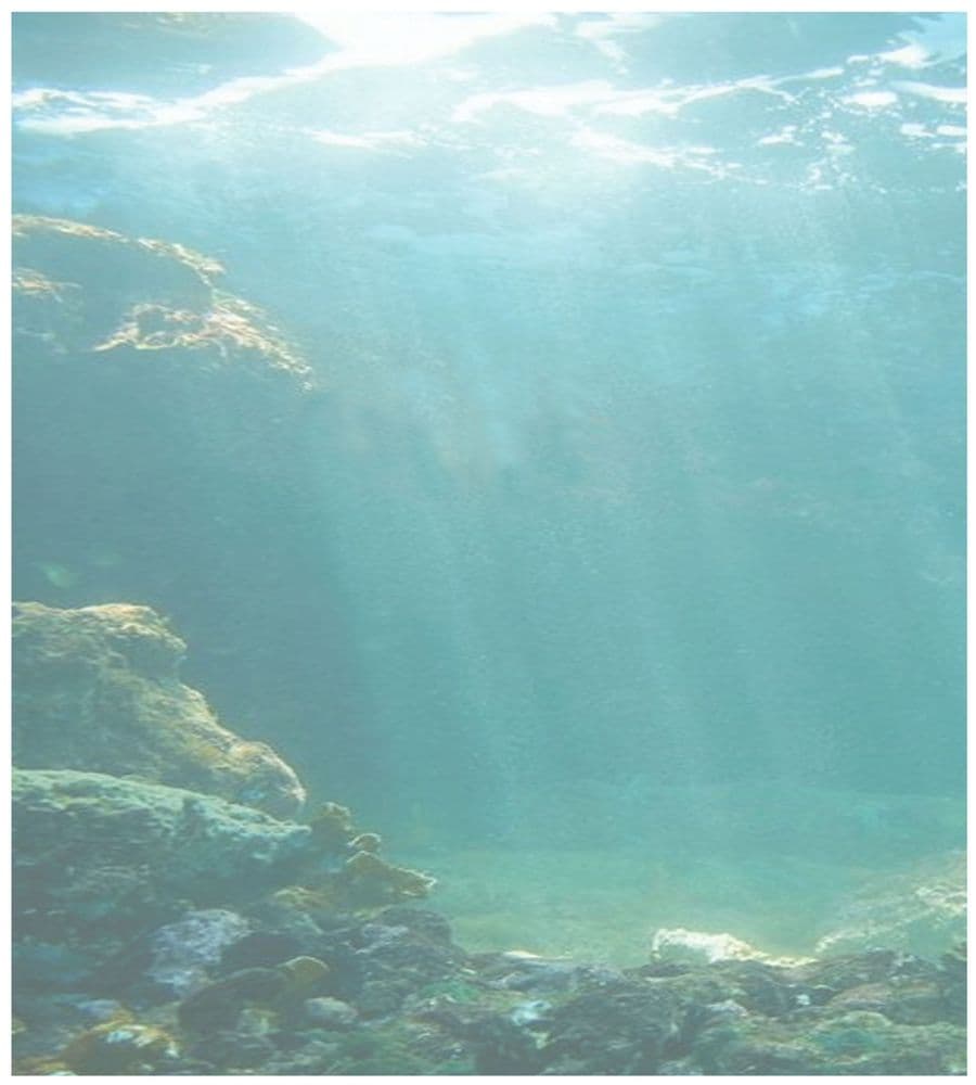 Fabric Flair Ocean Cove