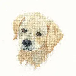 Golden Labrador Puppy cross stitch kit - Little Friends