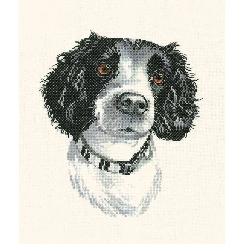 Jake cross stitch chart - Peter Underhill