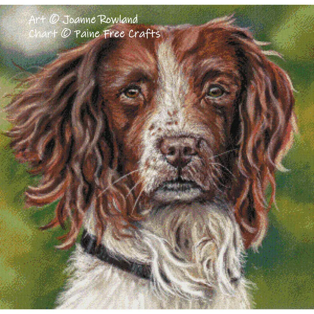 Jerry the Springer by Paine Free Crafts printed cross stitch chart