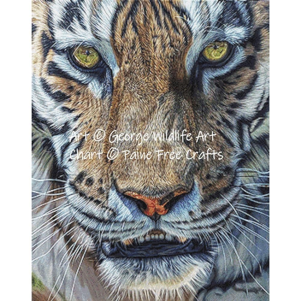 Shikari Tiger by Paine Free Crafts printed cross stitch chart