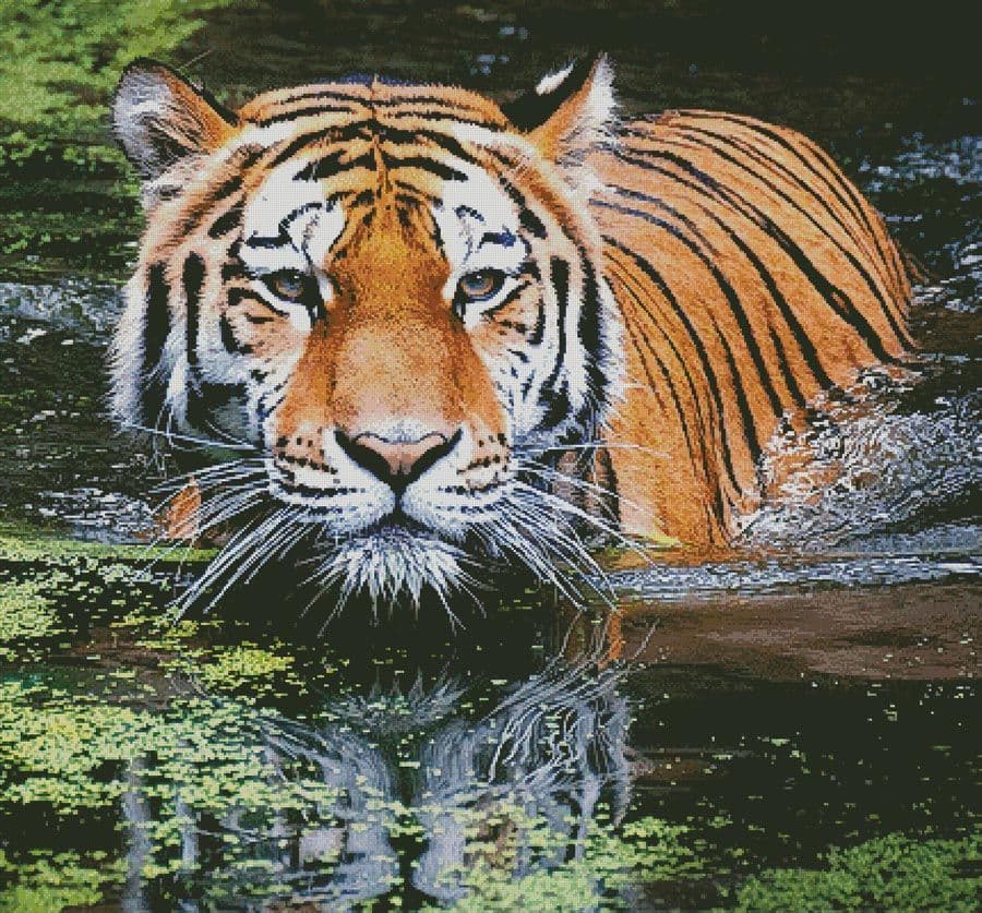 Tiger in Swamp Large Crop by Artecy printed cross stitch chart