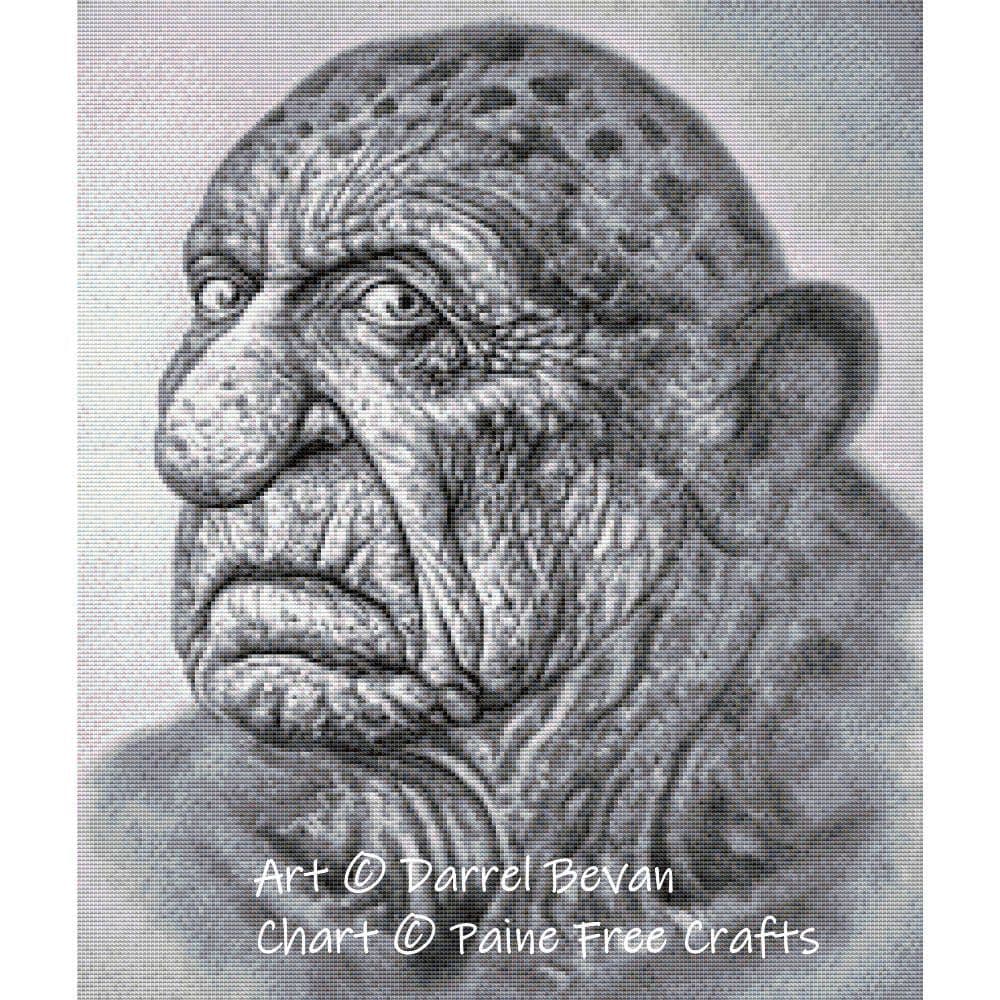 Troll by Paine Free Crafts printed cross stitch chart