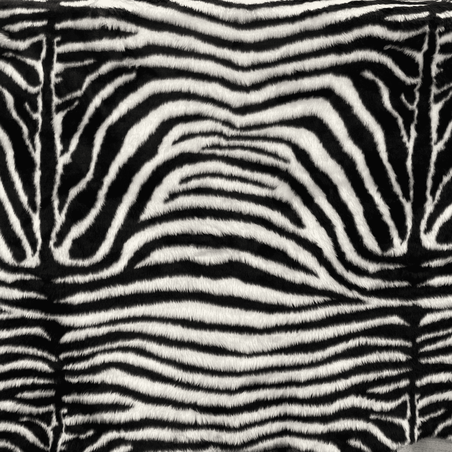 Zebra Skin Nova Skin Skin: Animal Skin
