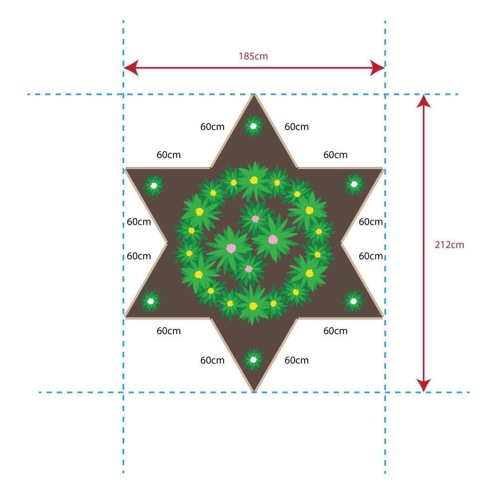 Star Shaped Raised Garden 25 Best Plants For Dry Shade Gardens