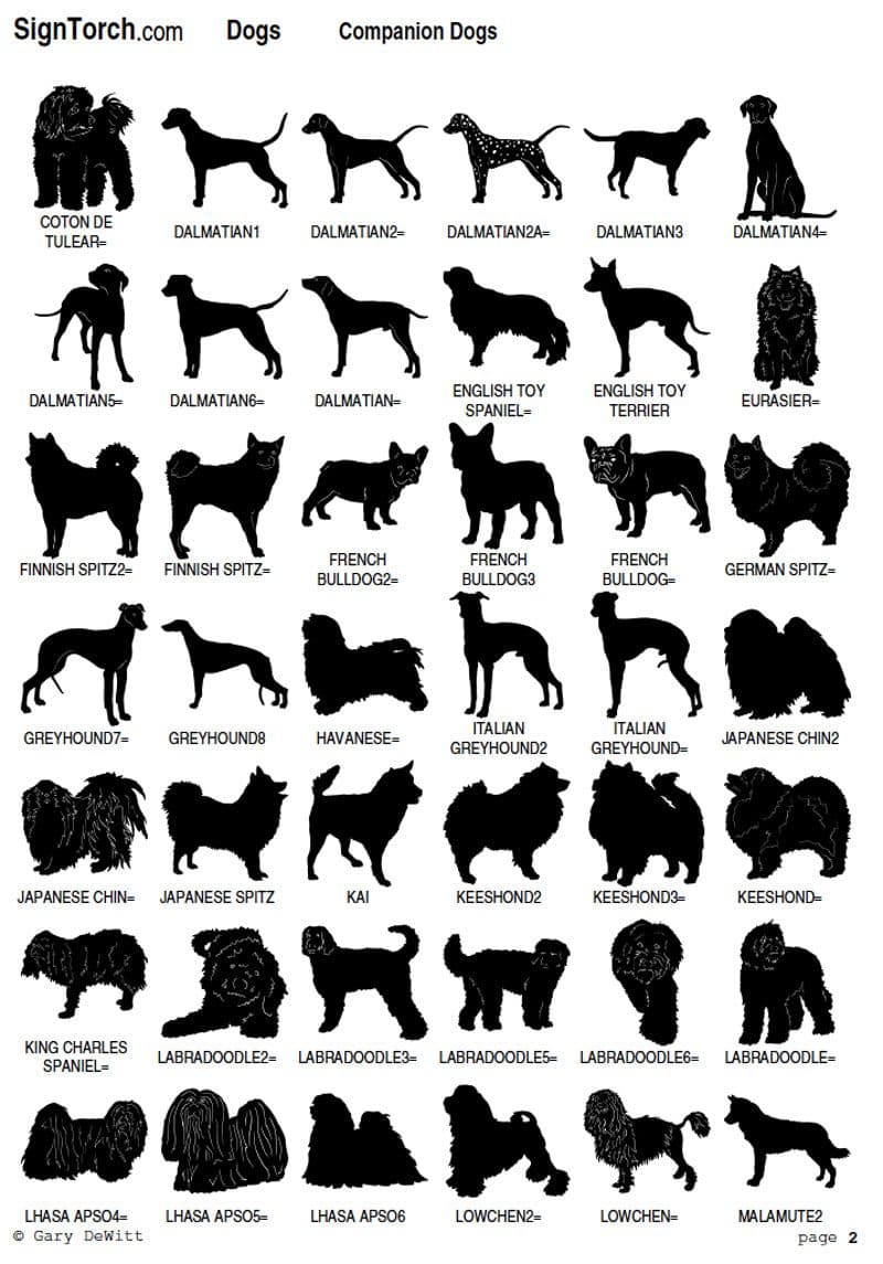 Companion Dogs Artwork