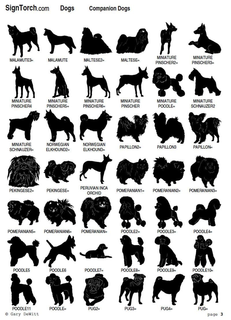 Companion Dogs Artwork