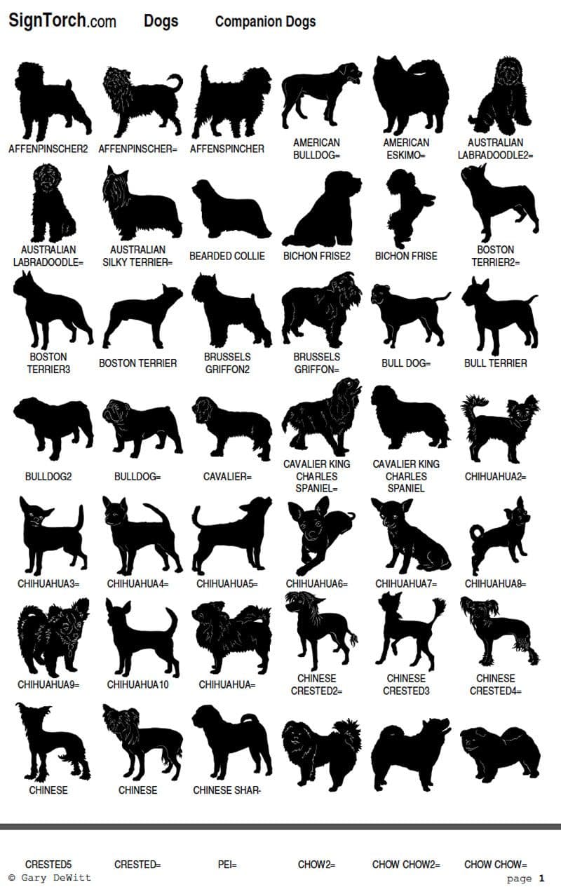 Companion Dogs Artwork