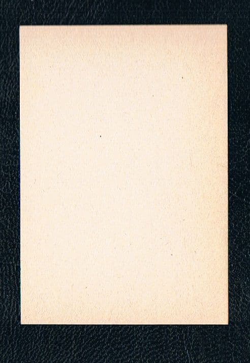 1979 very rare Niki Lauda 91 CARD not paper German-language issue from ...