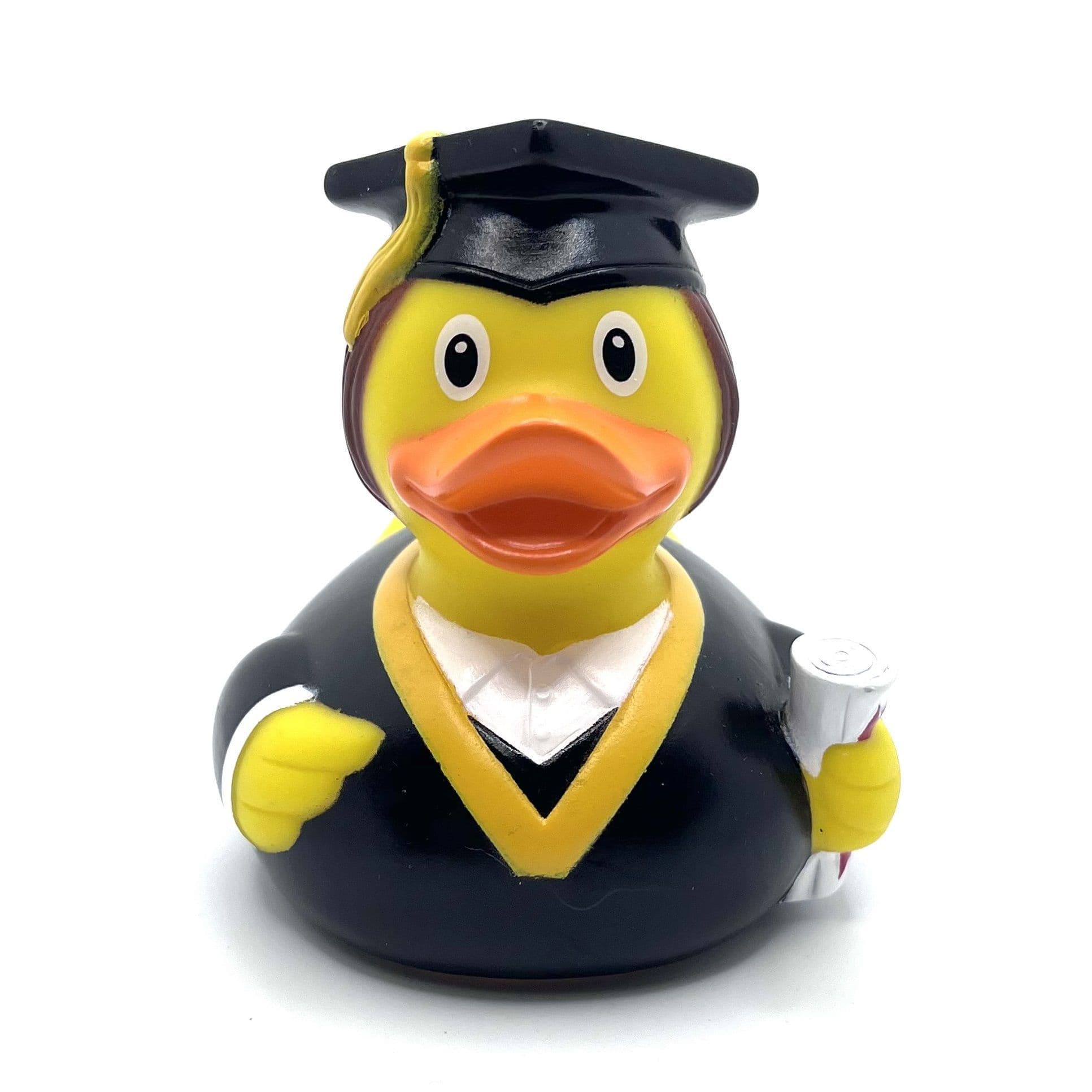 Bachelor Duck