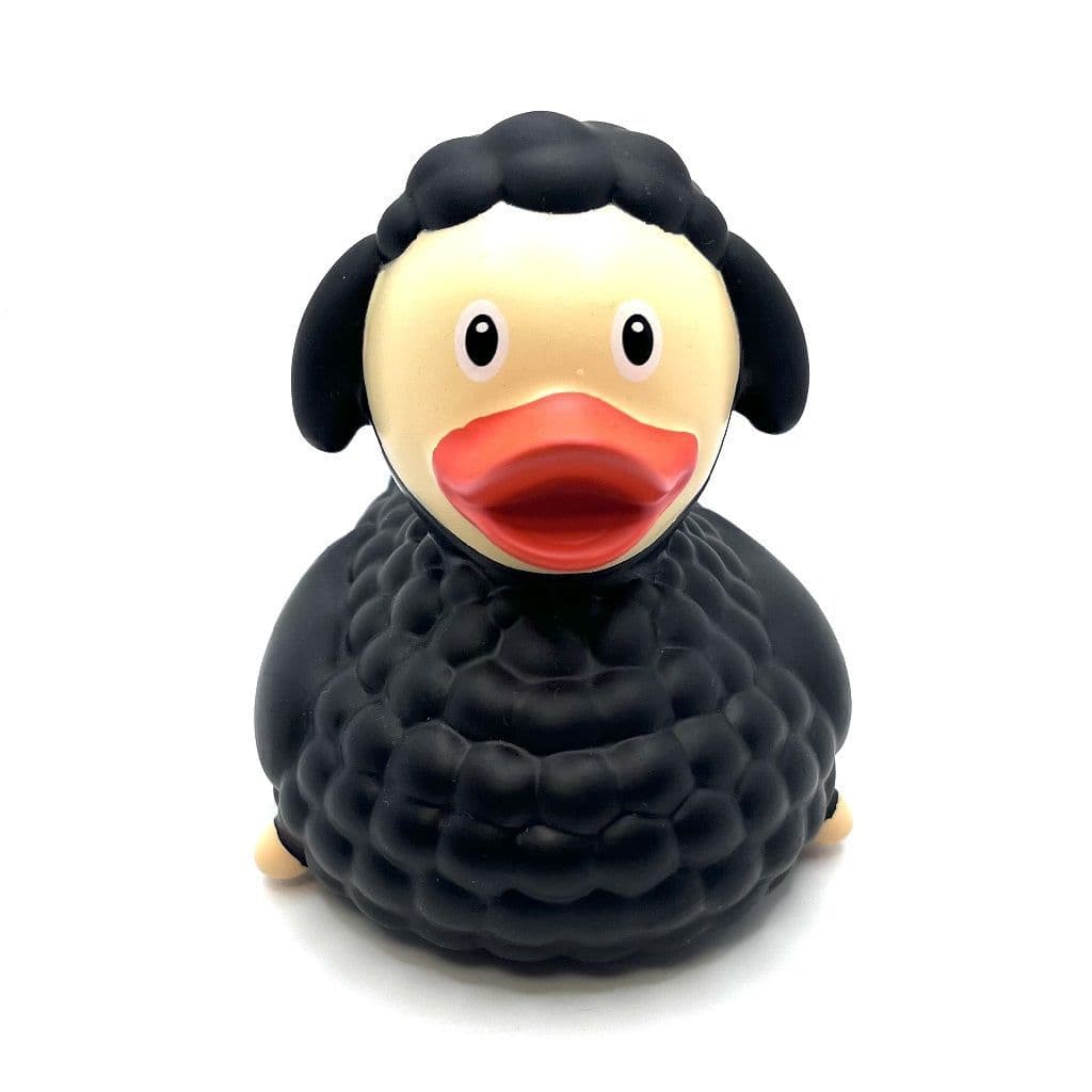 Black Sheep Duck
