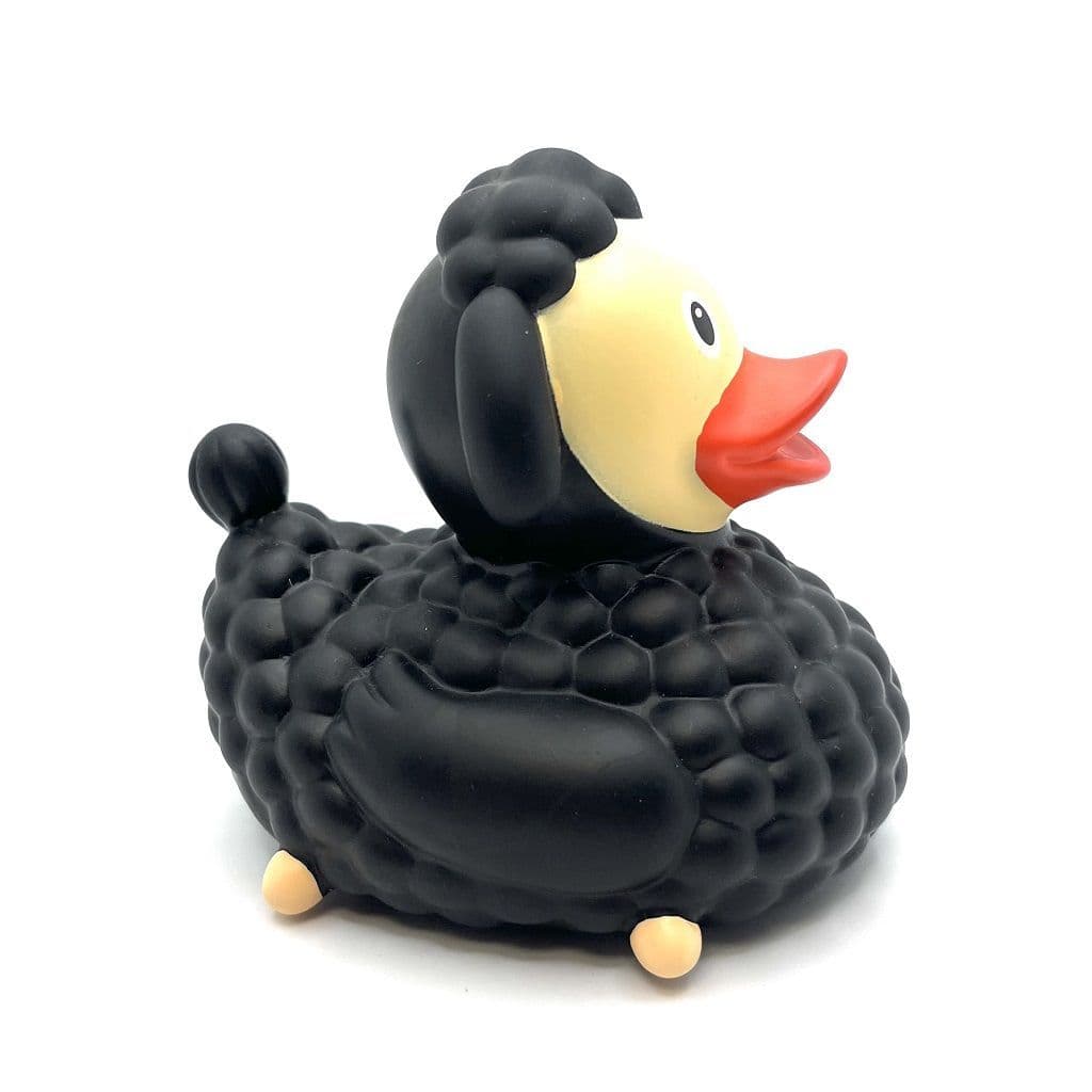 Black Sheep Duck