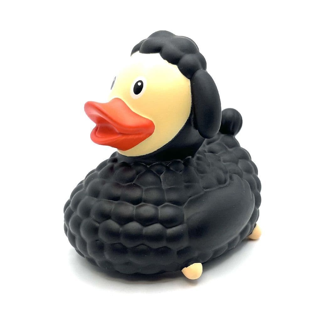 Black Sheep Duck