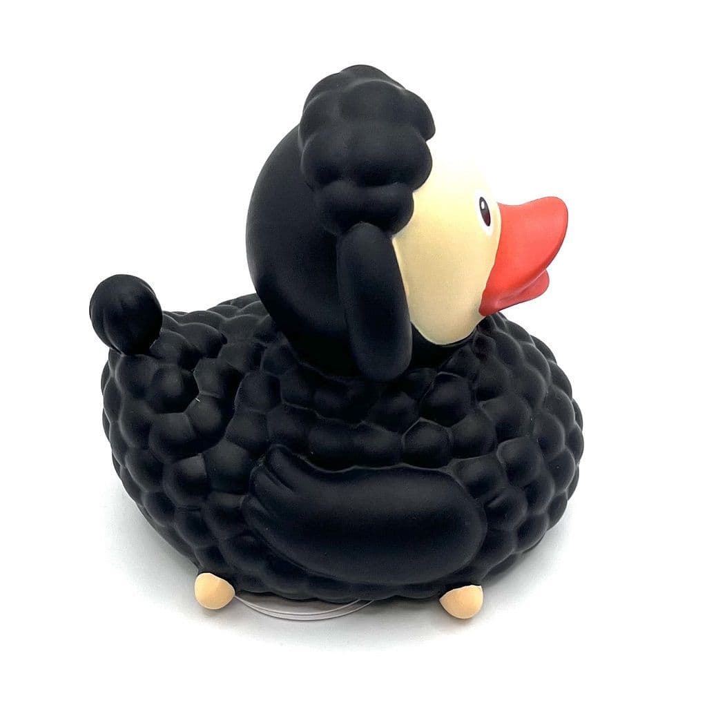 Black Sheep Duck