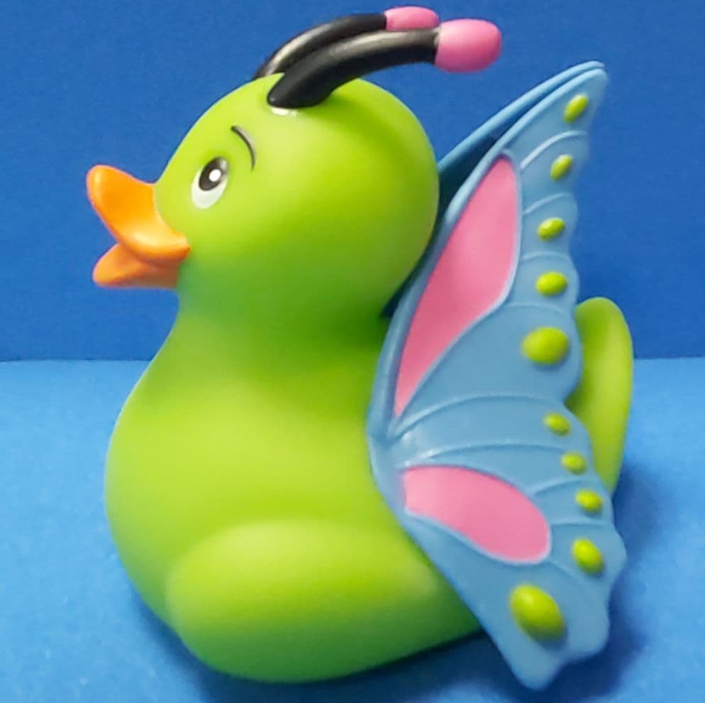 Butterfly Duck