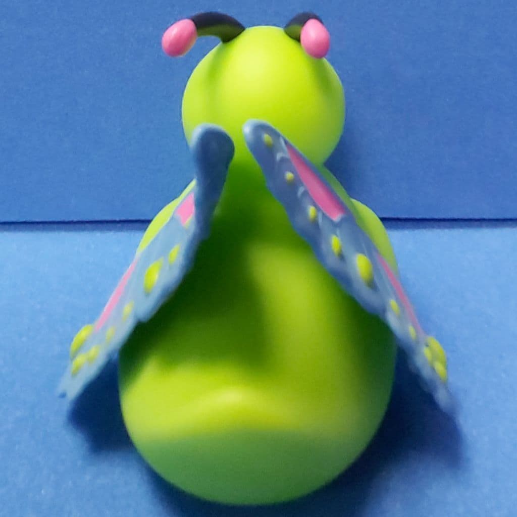 Butterfly Duck