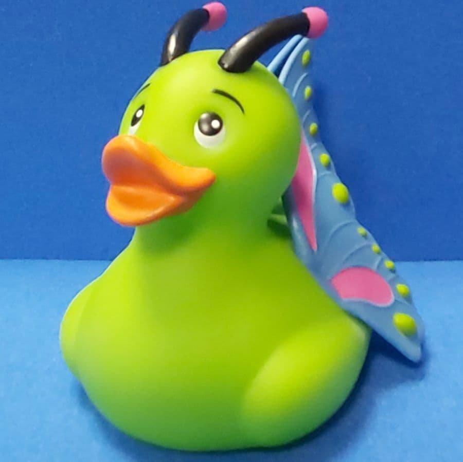 Butterfly Duck