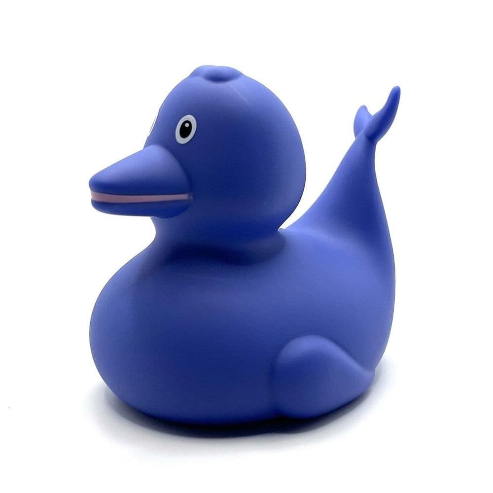 Dolphin Duck