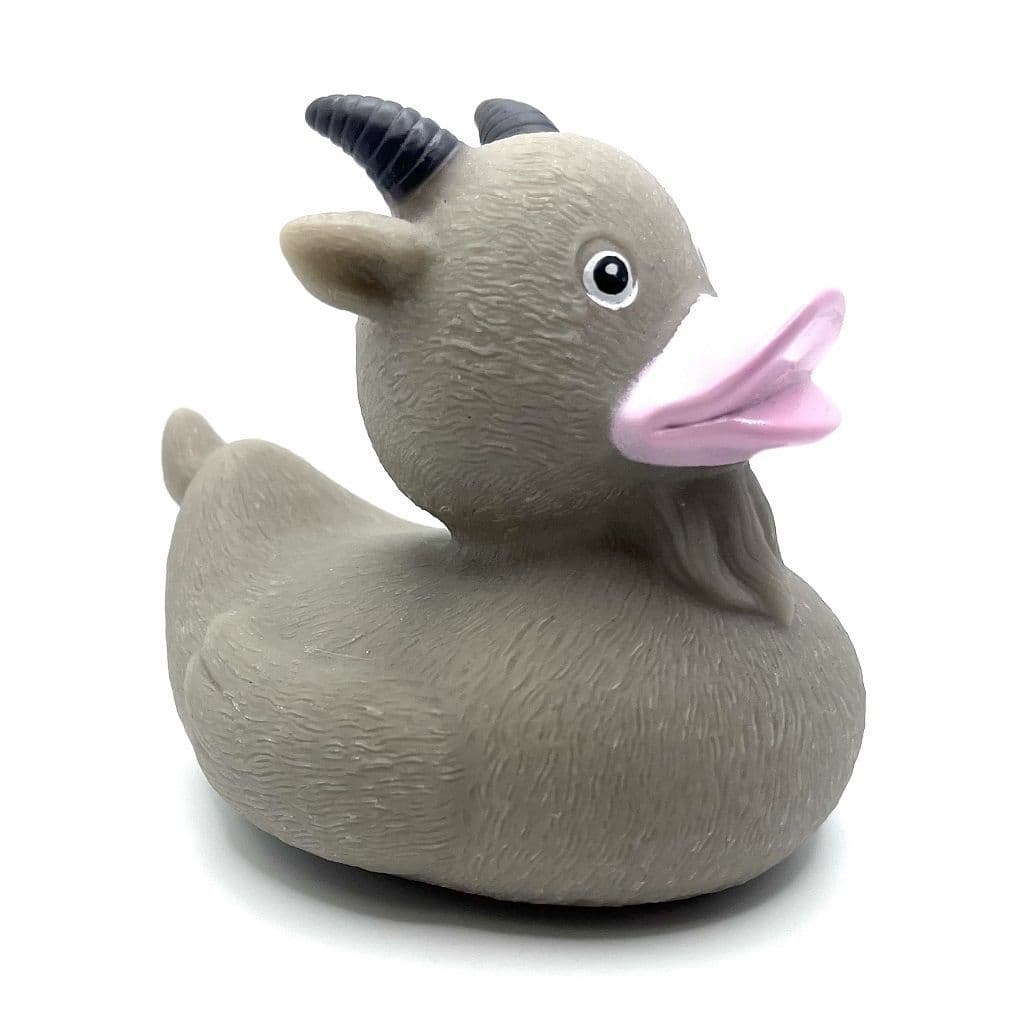 Goat Duck