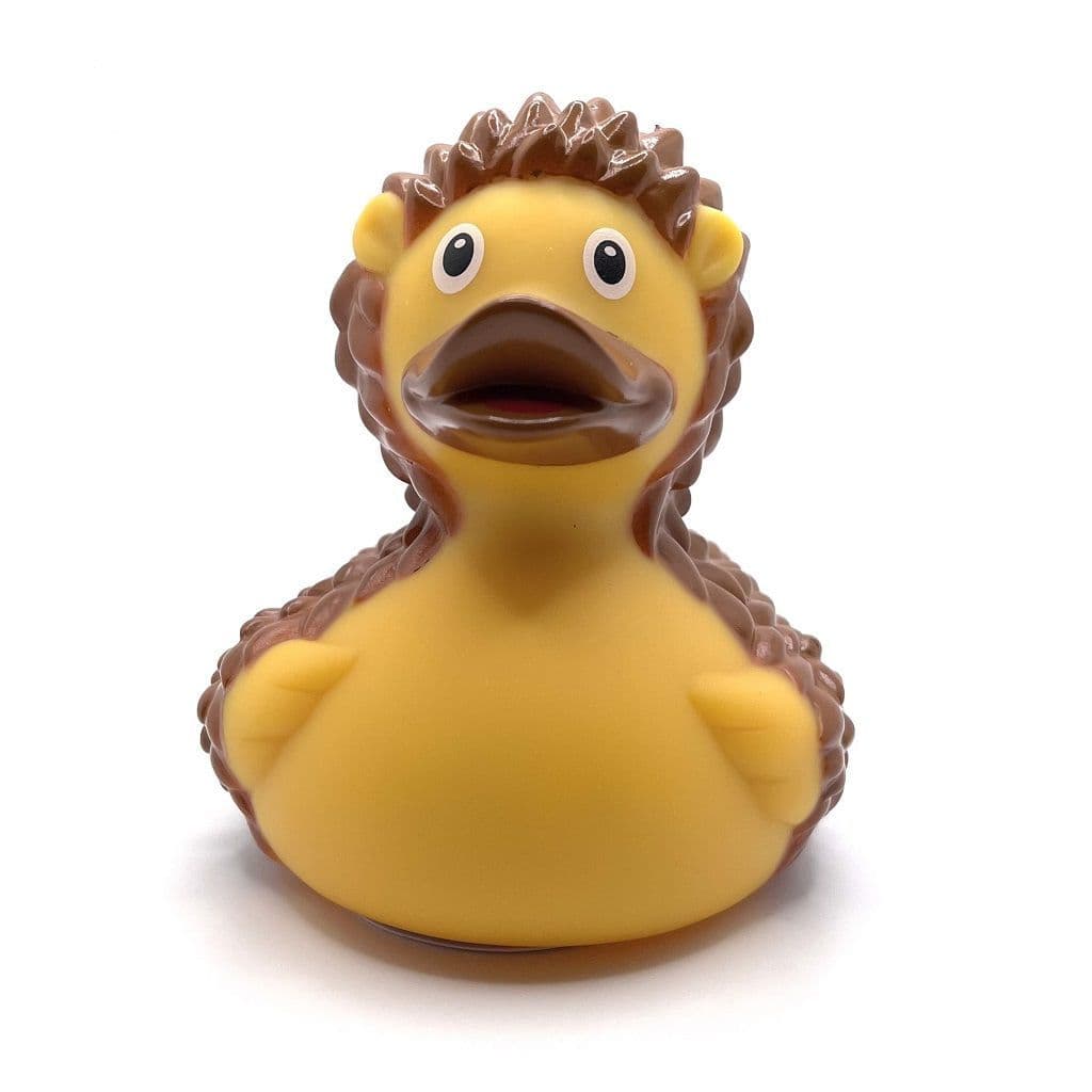 Hedgehog Duck
