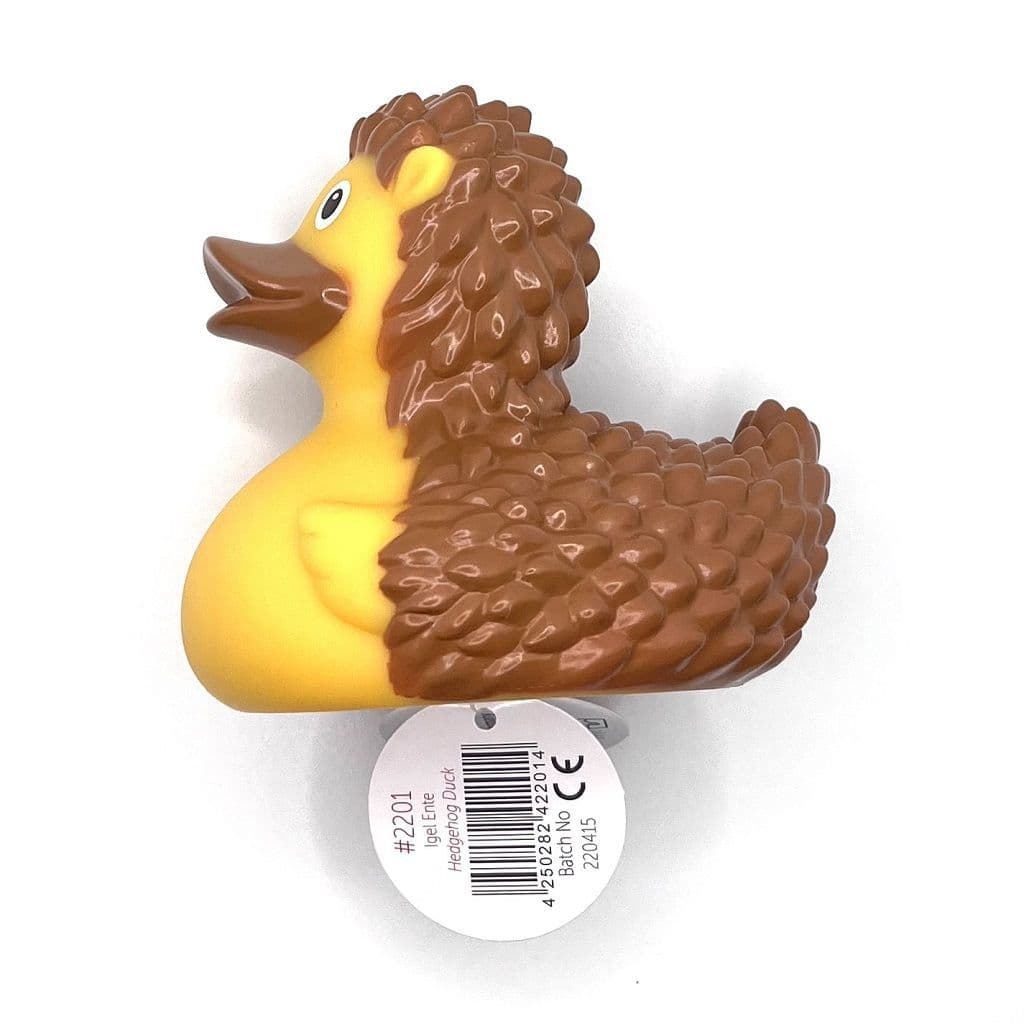 Hedgehog Duck