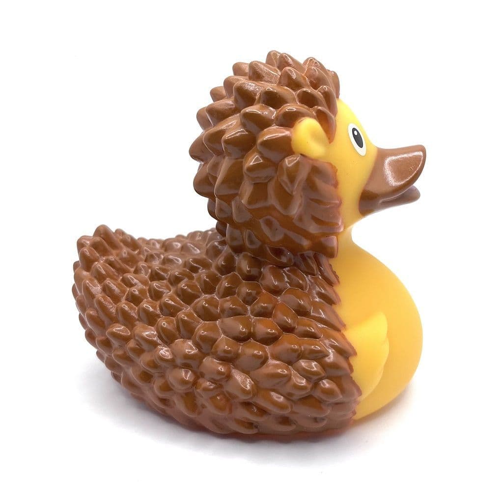 Hedgehog Duck
