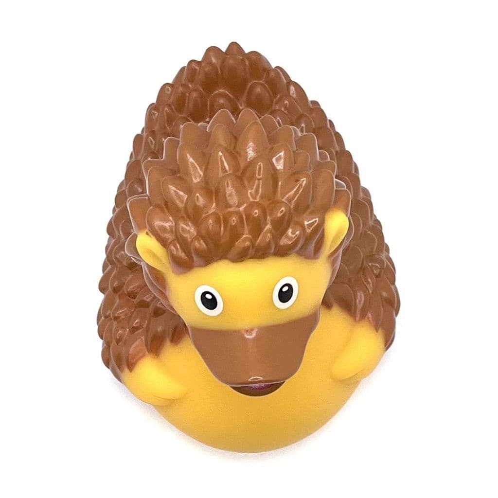 Hedgehog Duck