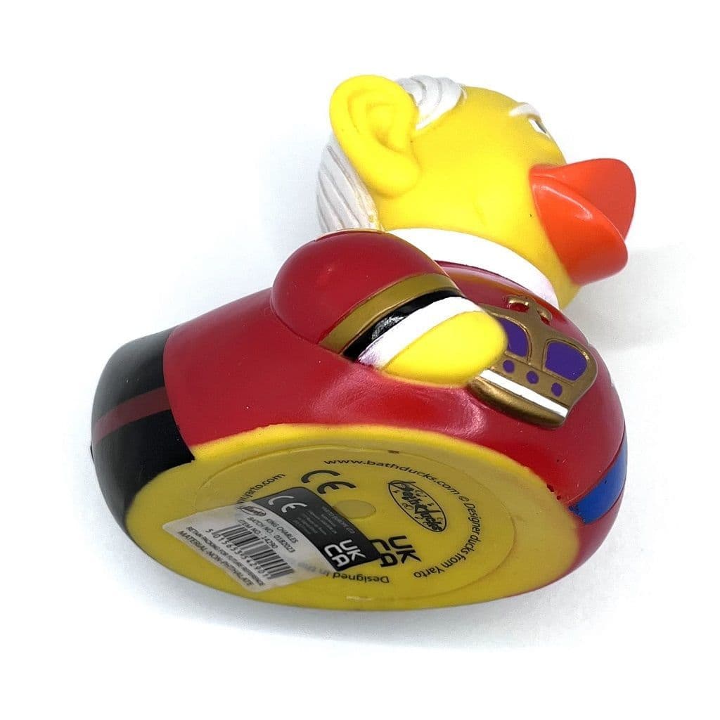 King Charles Duck