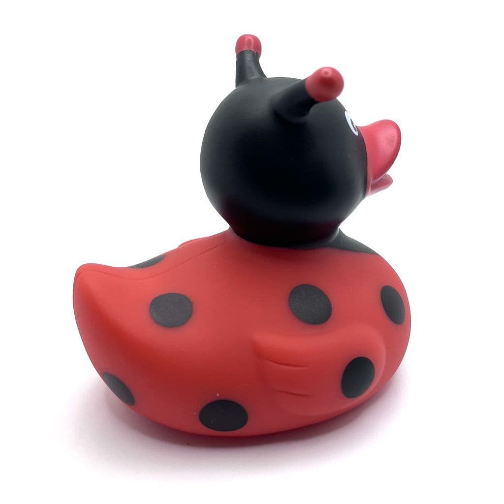 Ladybug Duck