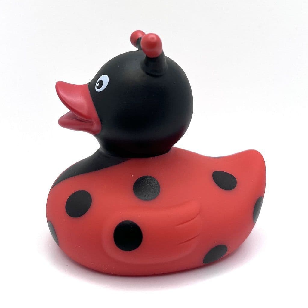 Ladybug Duck