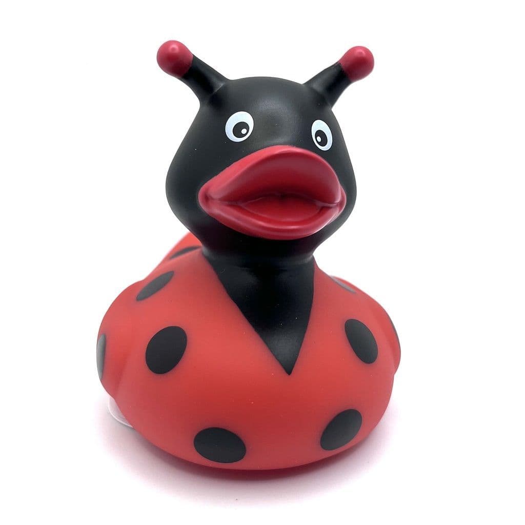Ladybug Duck